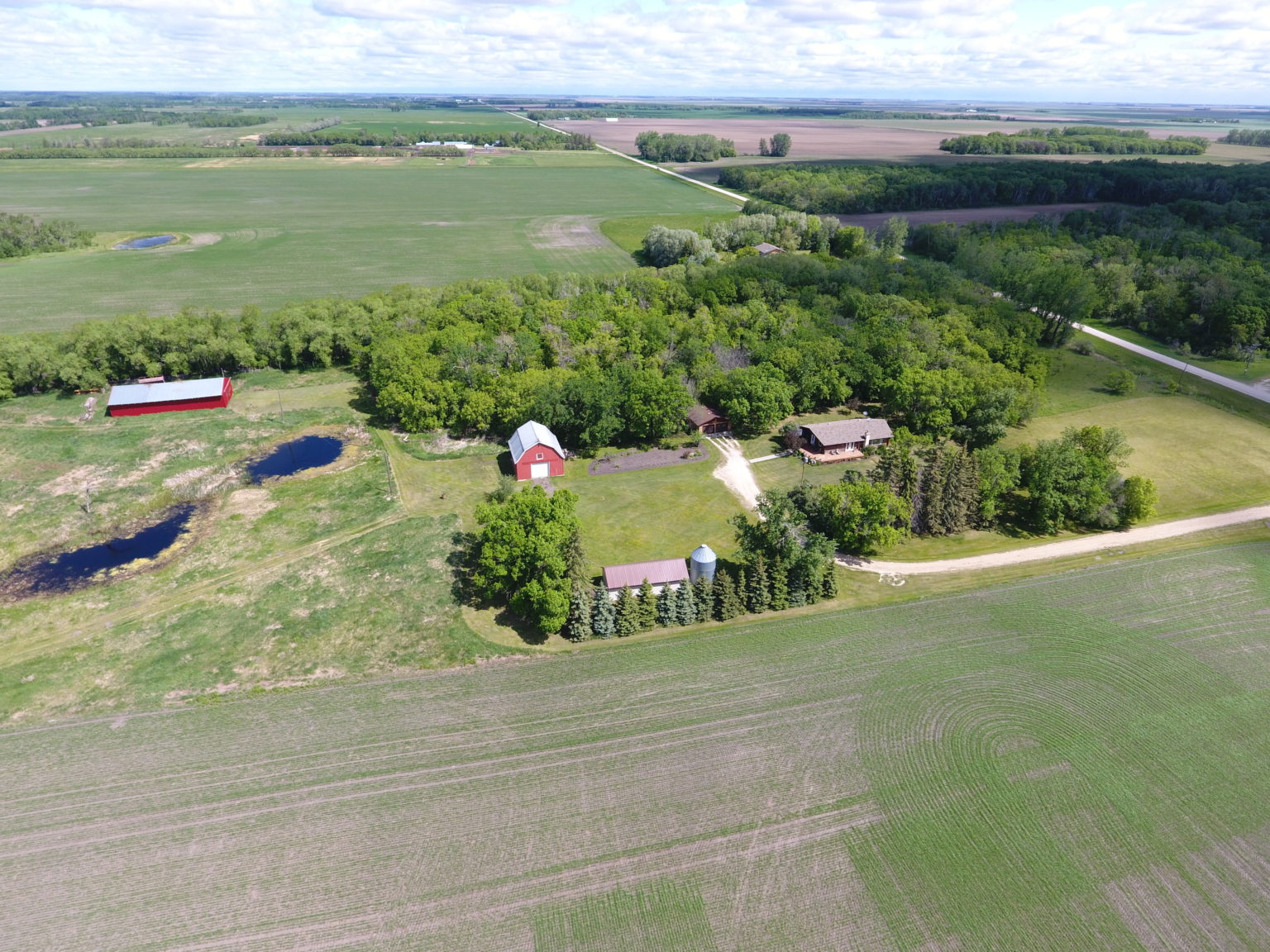 Farm Land – Elm Creek, Manitoba – 11851 – Royal LePage Riverbend Realty ...