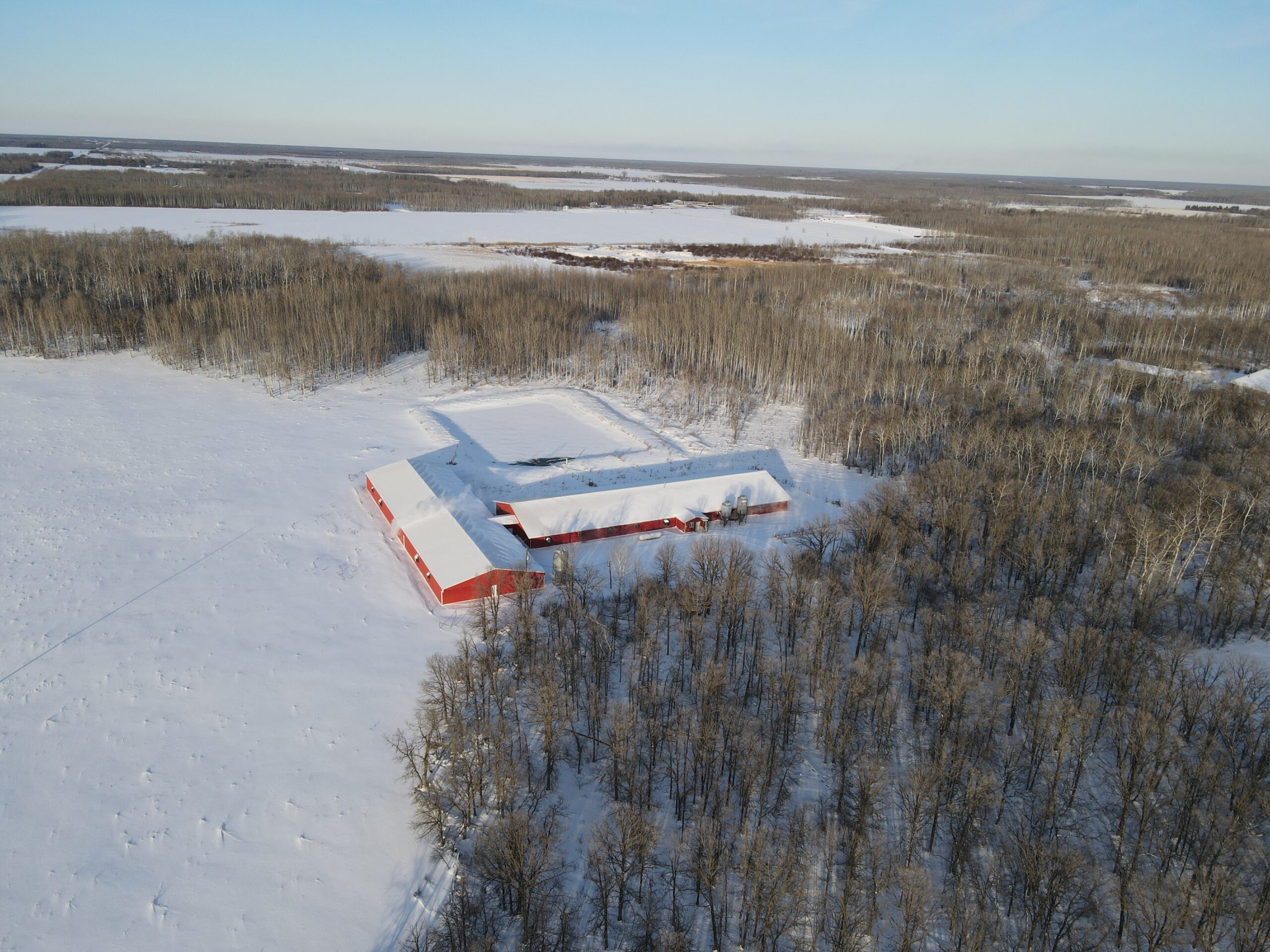 Hog Farm – Grunthal, Manitoba – 15857 – Royal LePage Riverbend Realty ...